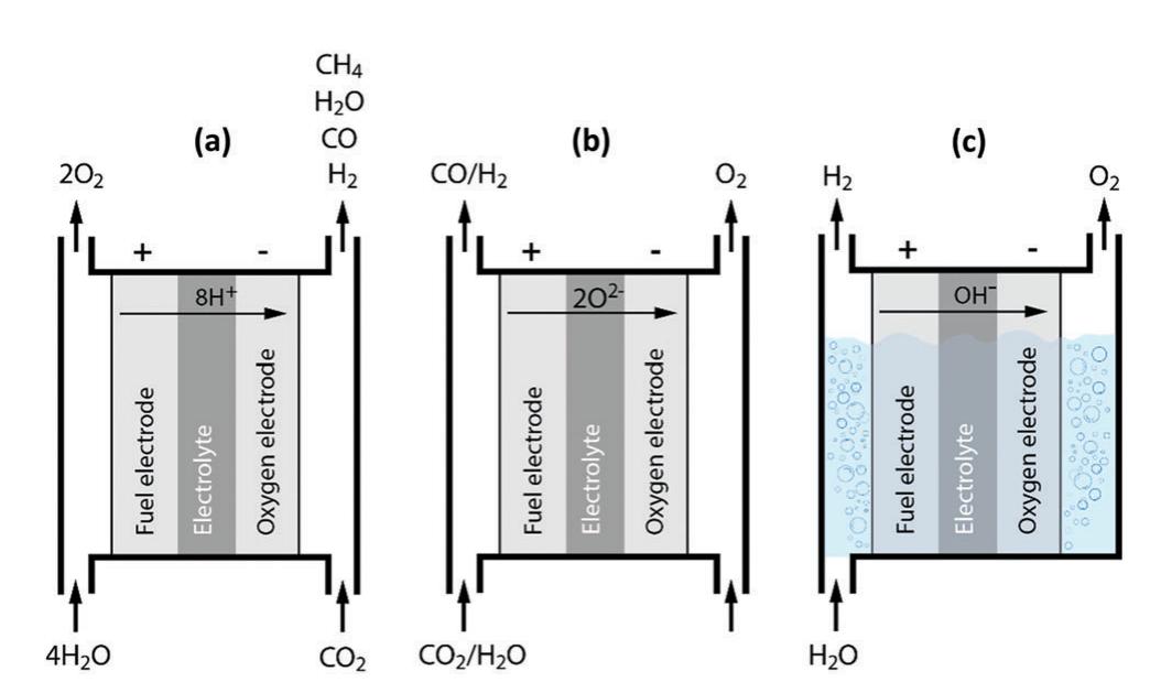 Principles of a solid proton conducting electrolysis cell
