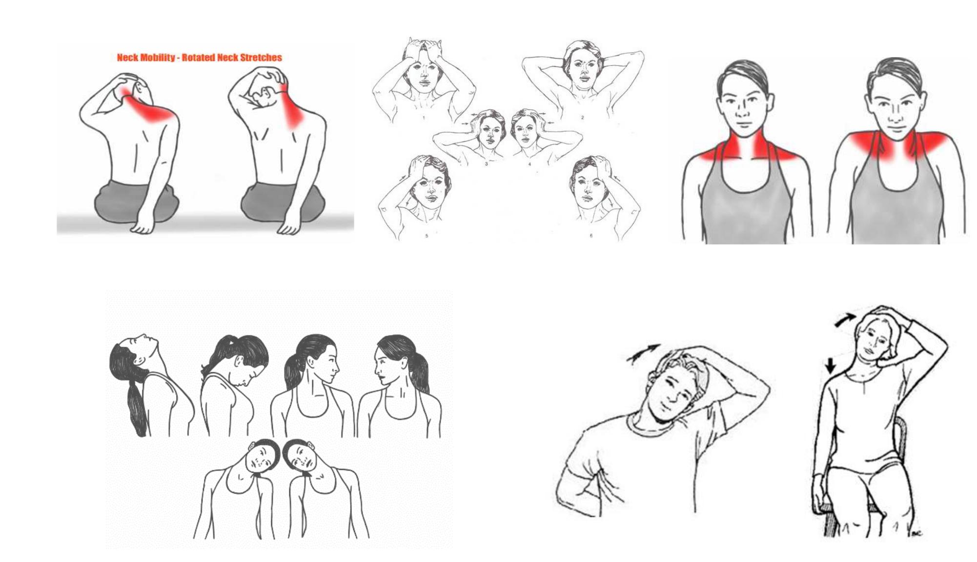 To assess cervical side bending, the goniometer axis was