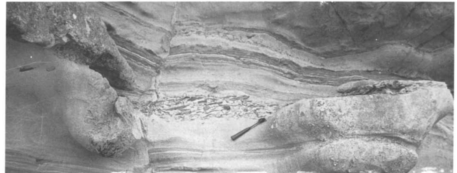 Transverse section of a lobe of shale pebble conglomerate
