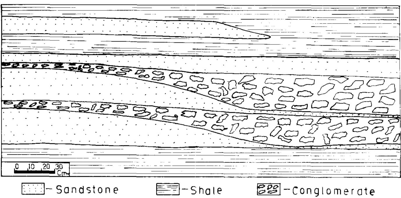 Longitudinal section of lobes of sand and shale pebbles