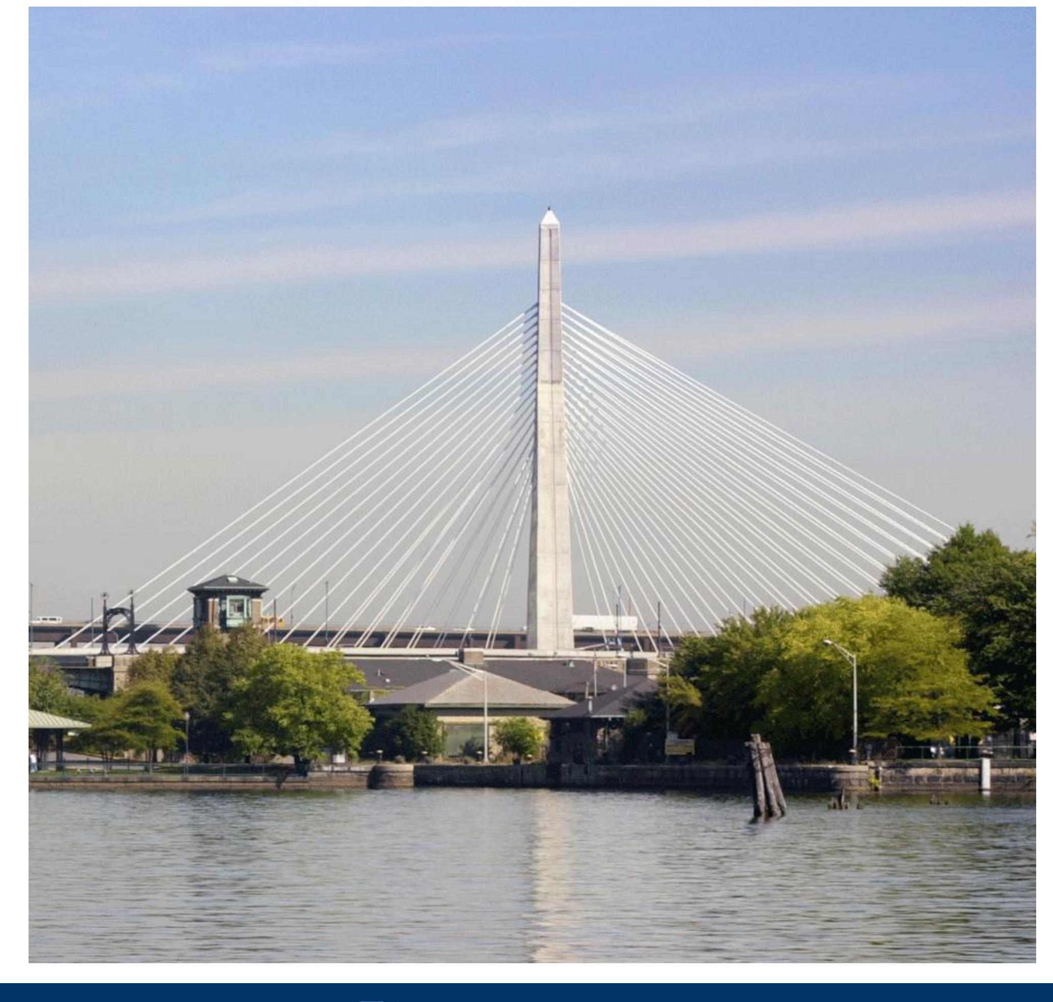 (PDF) Design of Cable Stayed Bridges