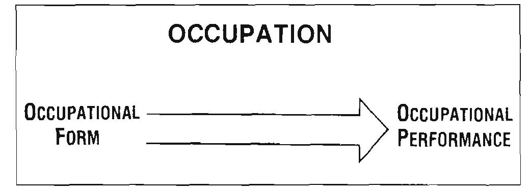 (PDF) Occupation: Form and Performance