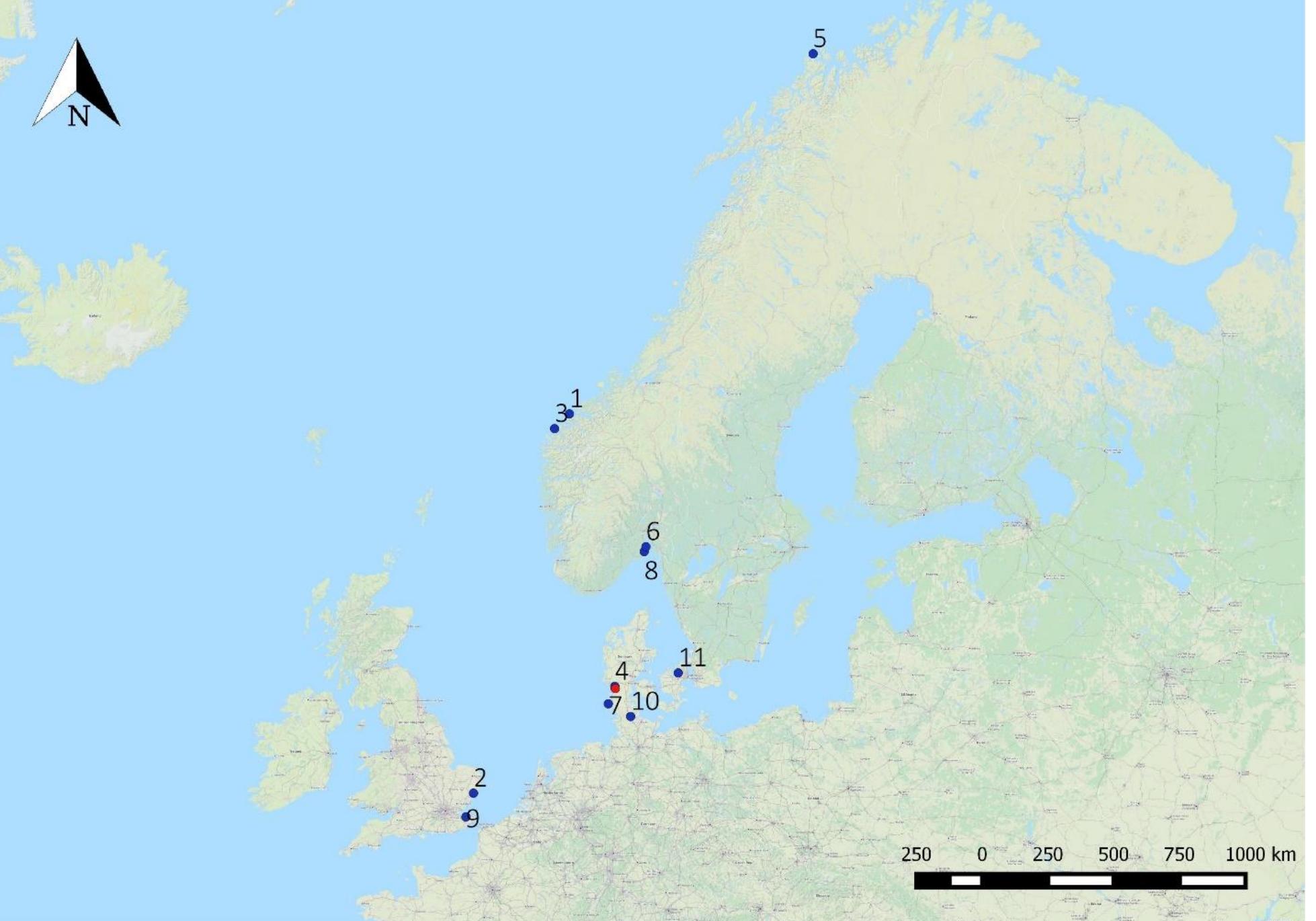 (PDF) A Study of the Evidence for the Viking Age Harbour at Ribe, Denmark