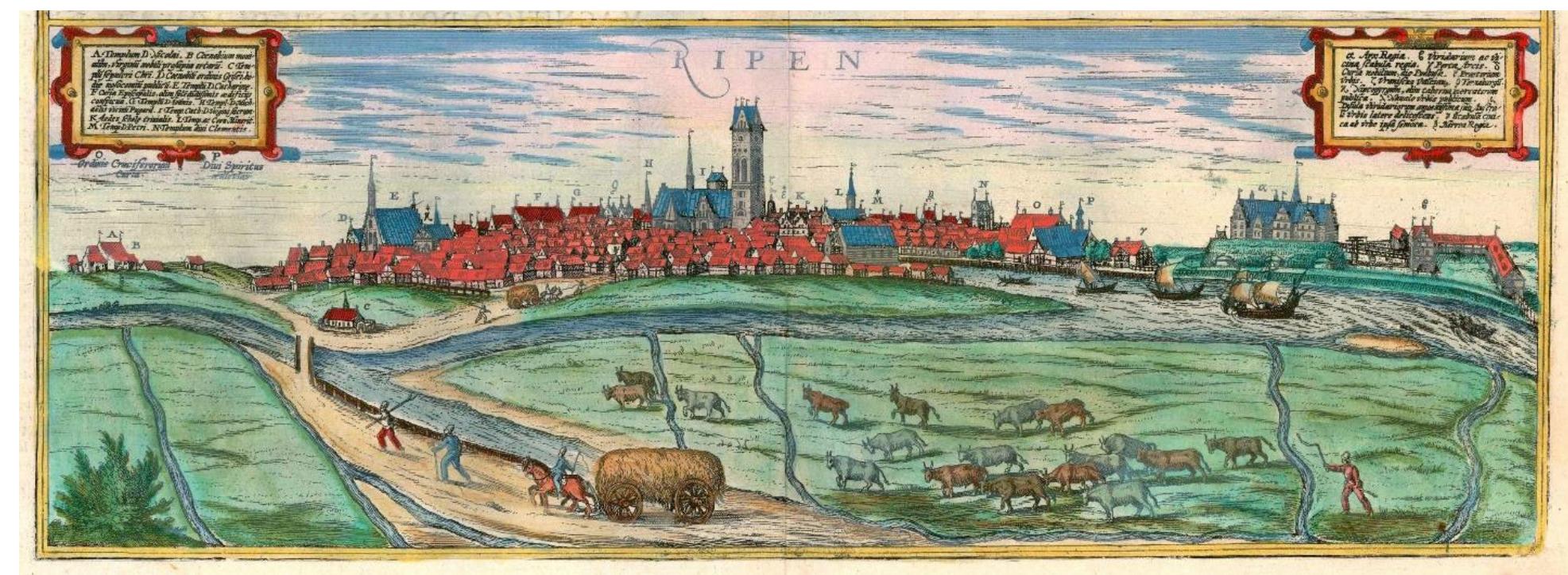 (PDF) A Study of the Evidence for the Viking Age Harbour at Ribe, Denmark