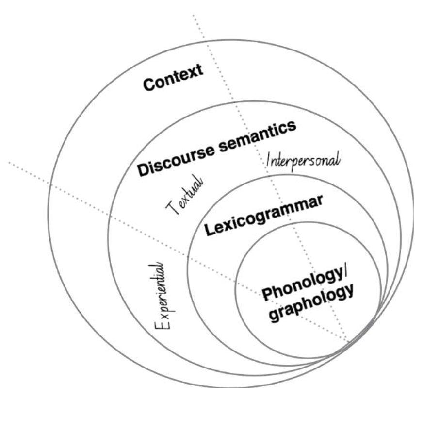 Textual meaning, theme, and cohesion