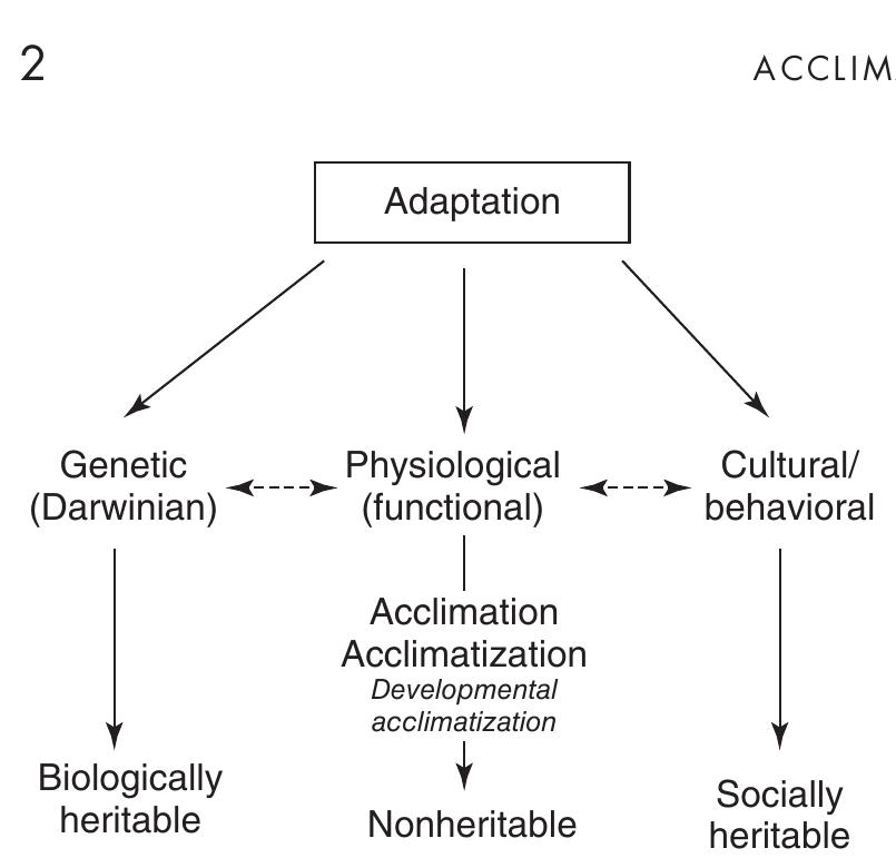 Schematic depiction of different types of adaptation to