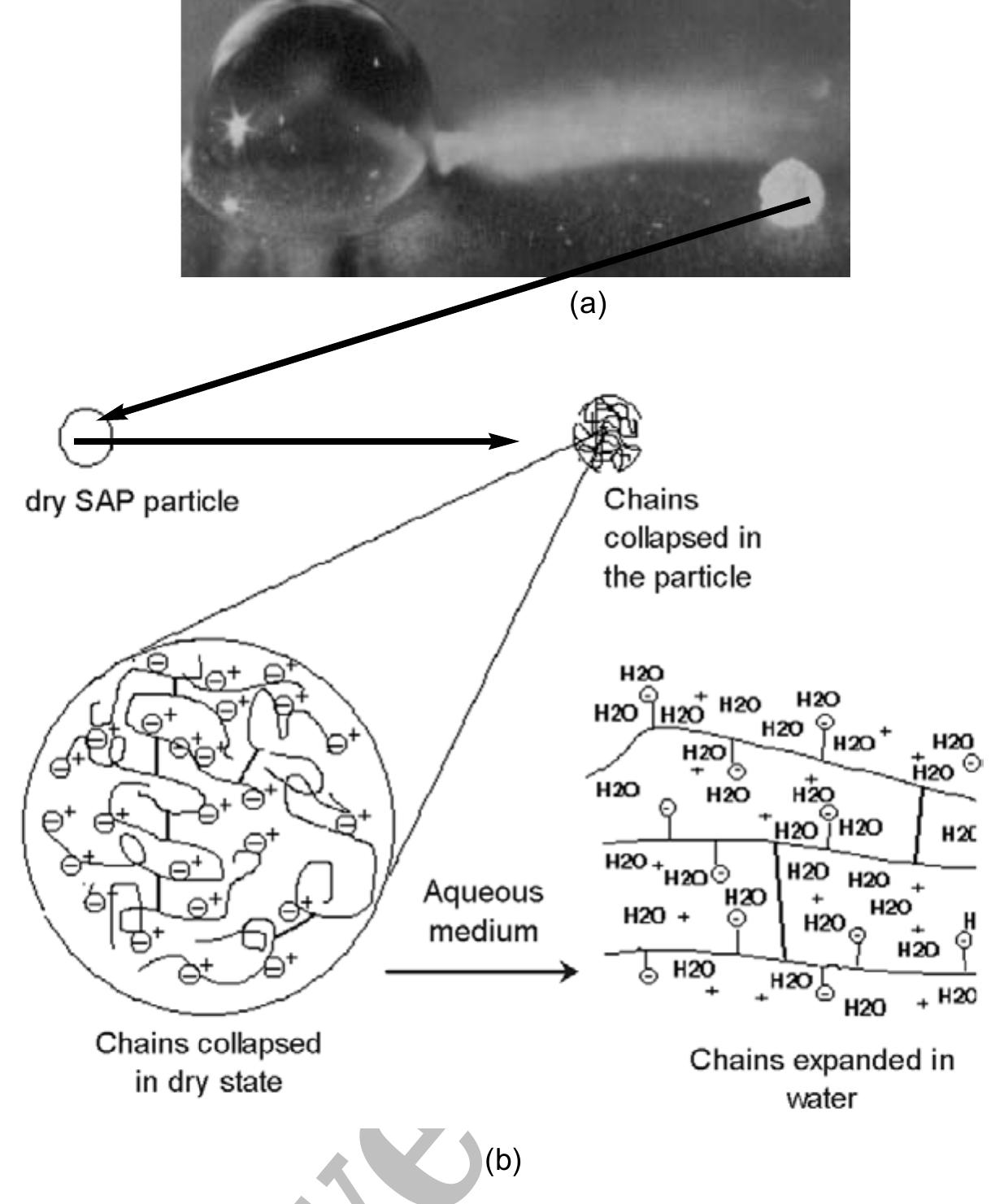 Figure 1 - from Superabsorbent Polymer Materials: A Review