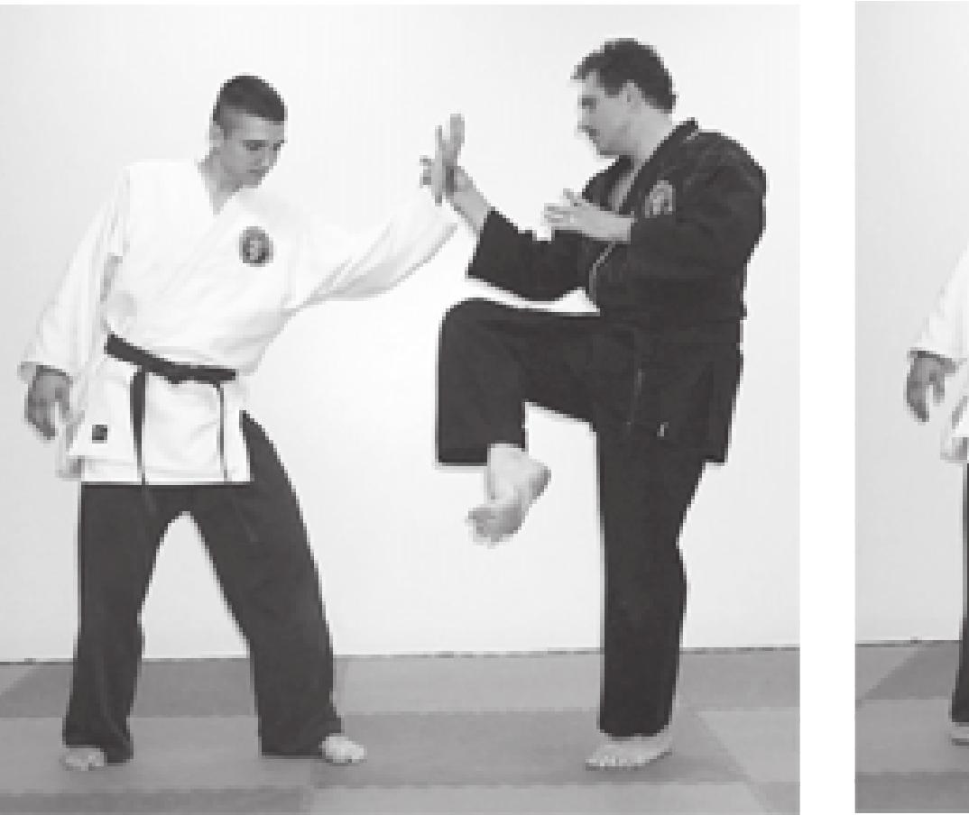 Main targets: solar plexus, groin, femoral nerve.