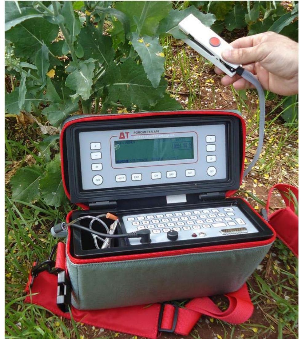 Stomatal conductance determination using a porometer. photo: