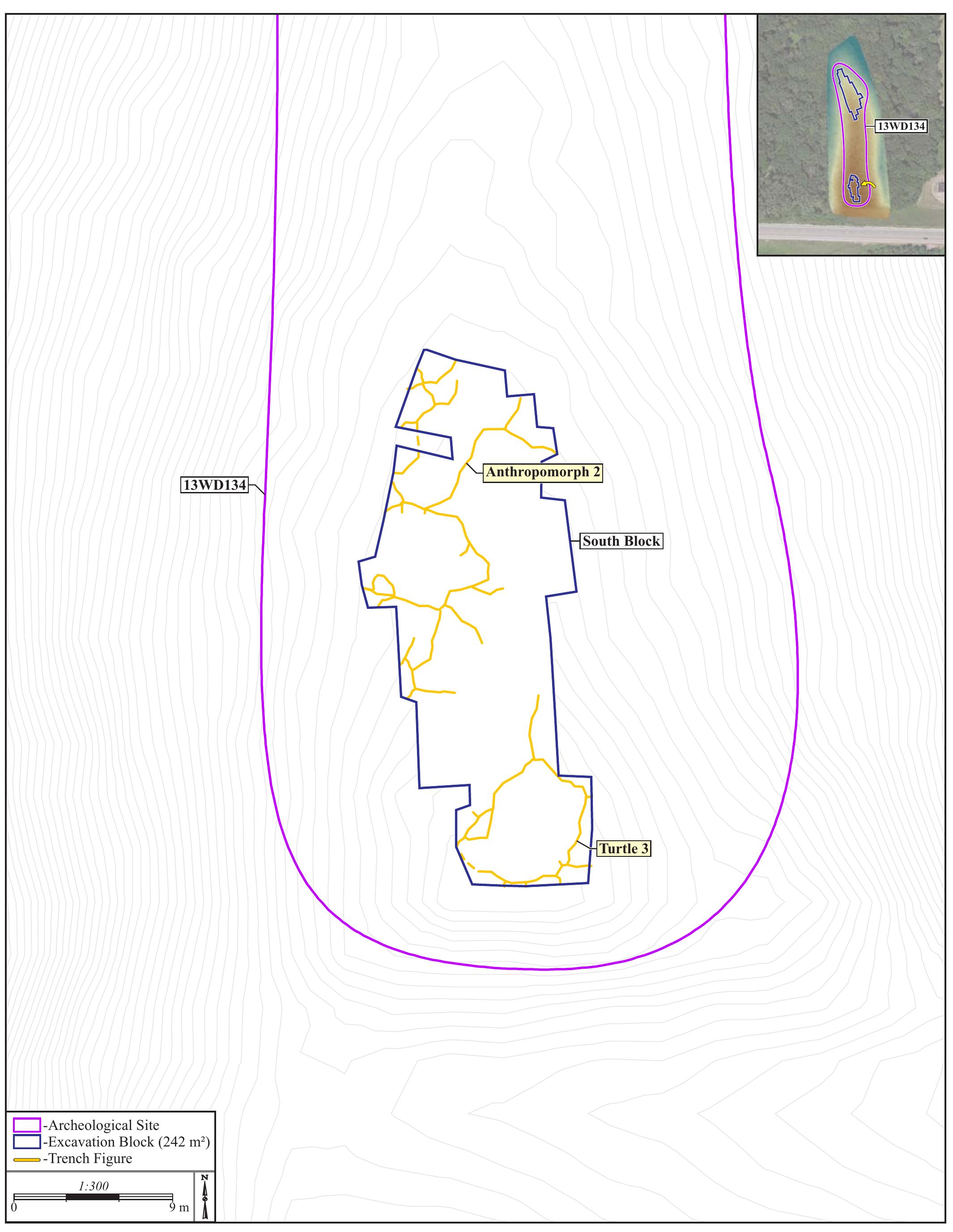 Map of 13wd134 south excavation block showing the geoglyphs.