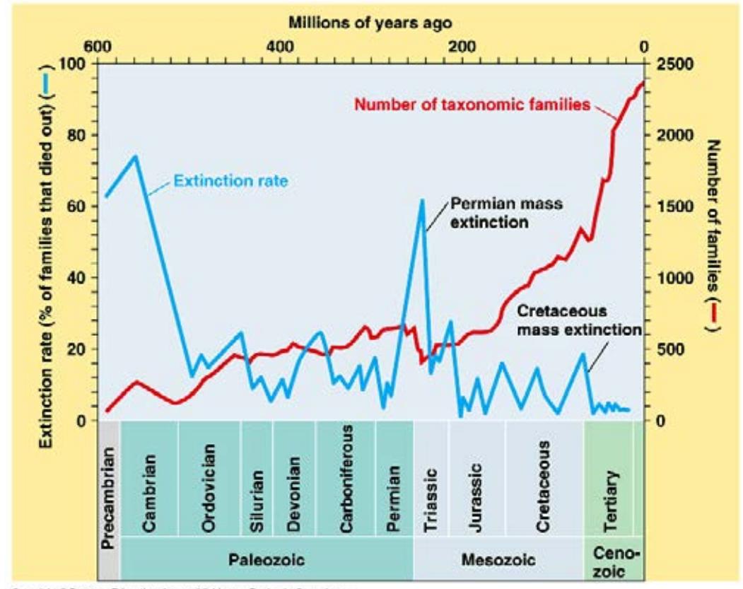 Extinction rate (blue curve) and evolution of the number of