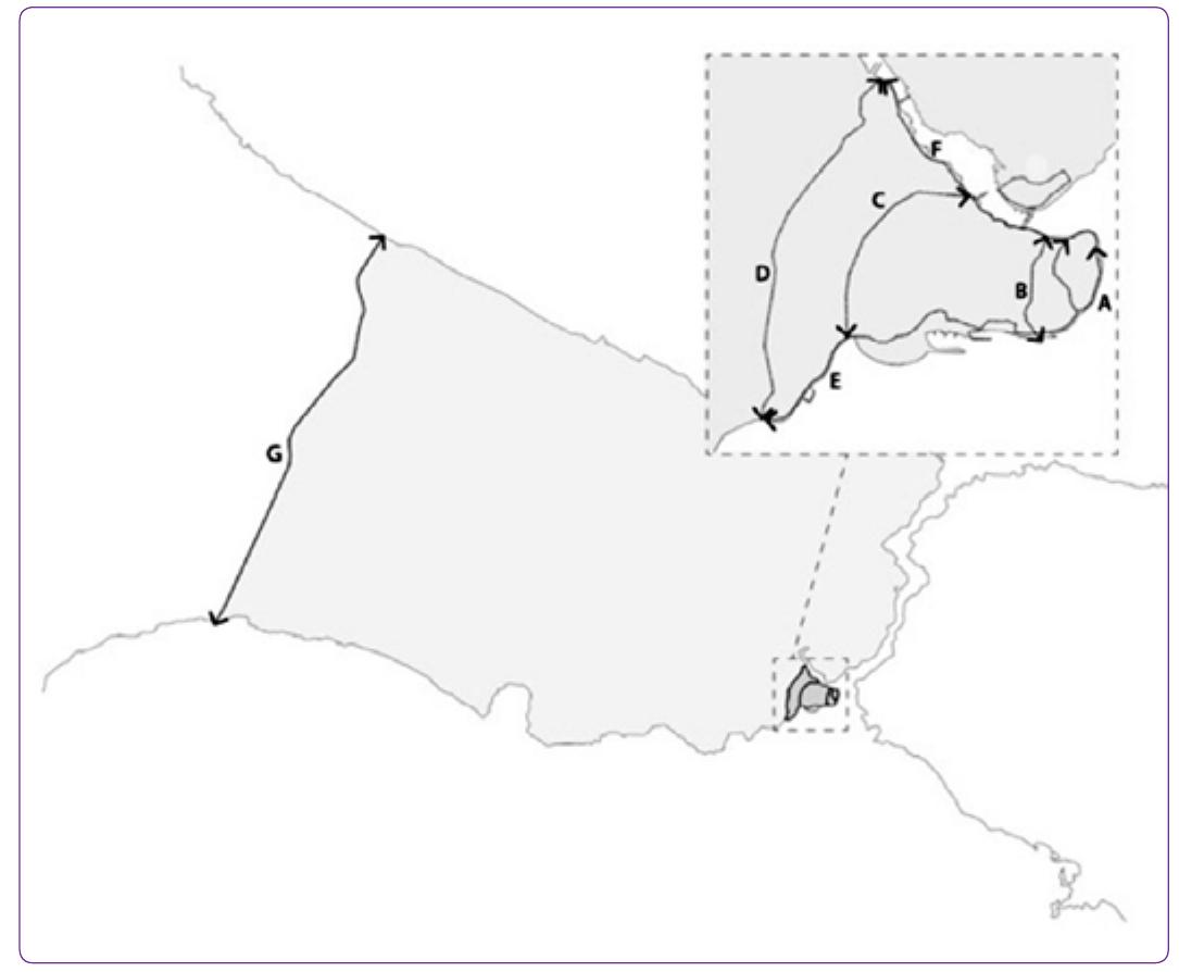 Schematic representation of the defence walls of the his-