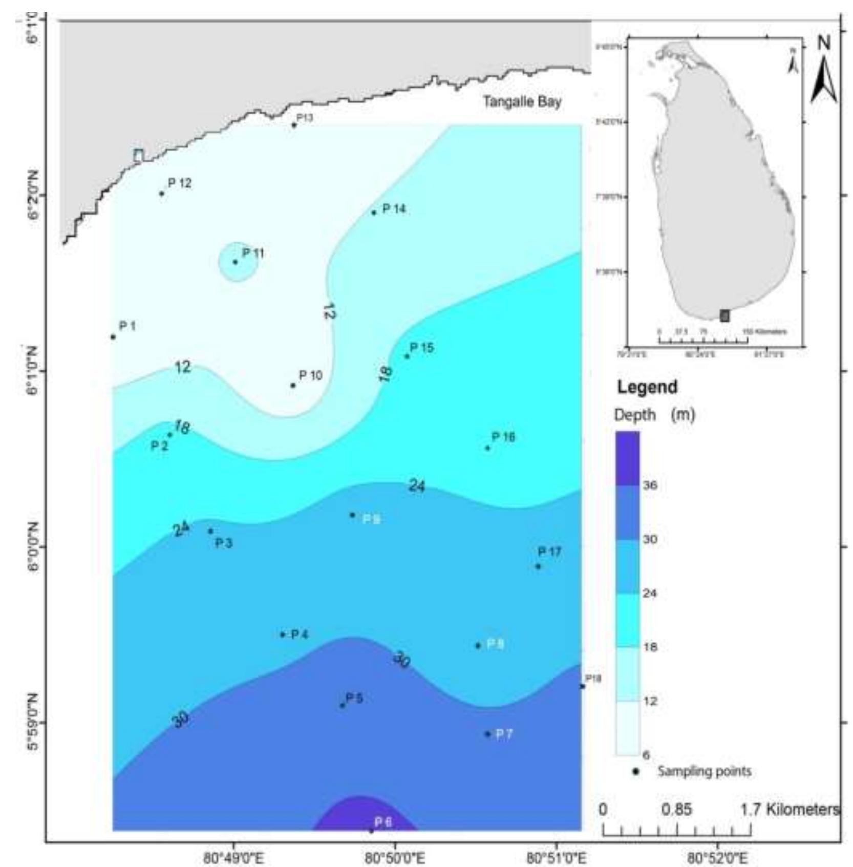 The simplified bathymetry map of the study area. surface
