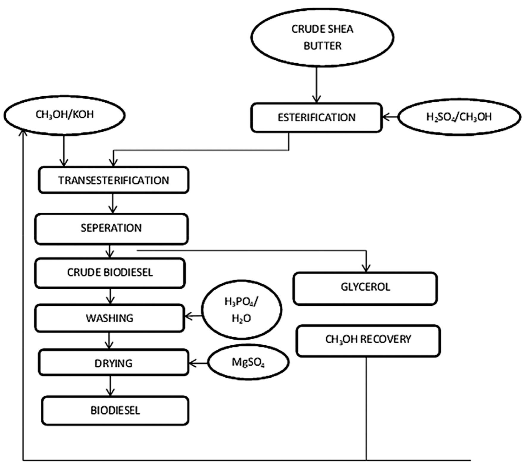 Flow sheet of the transesterification process.