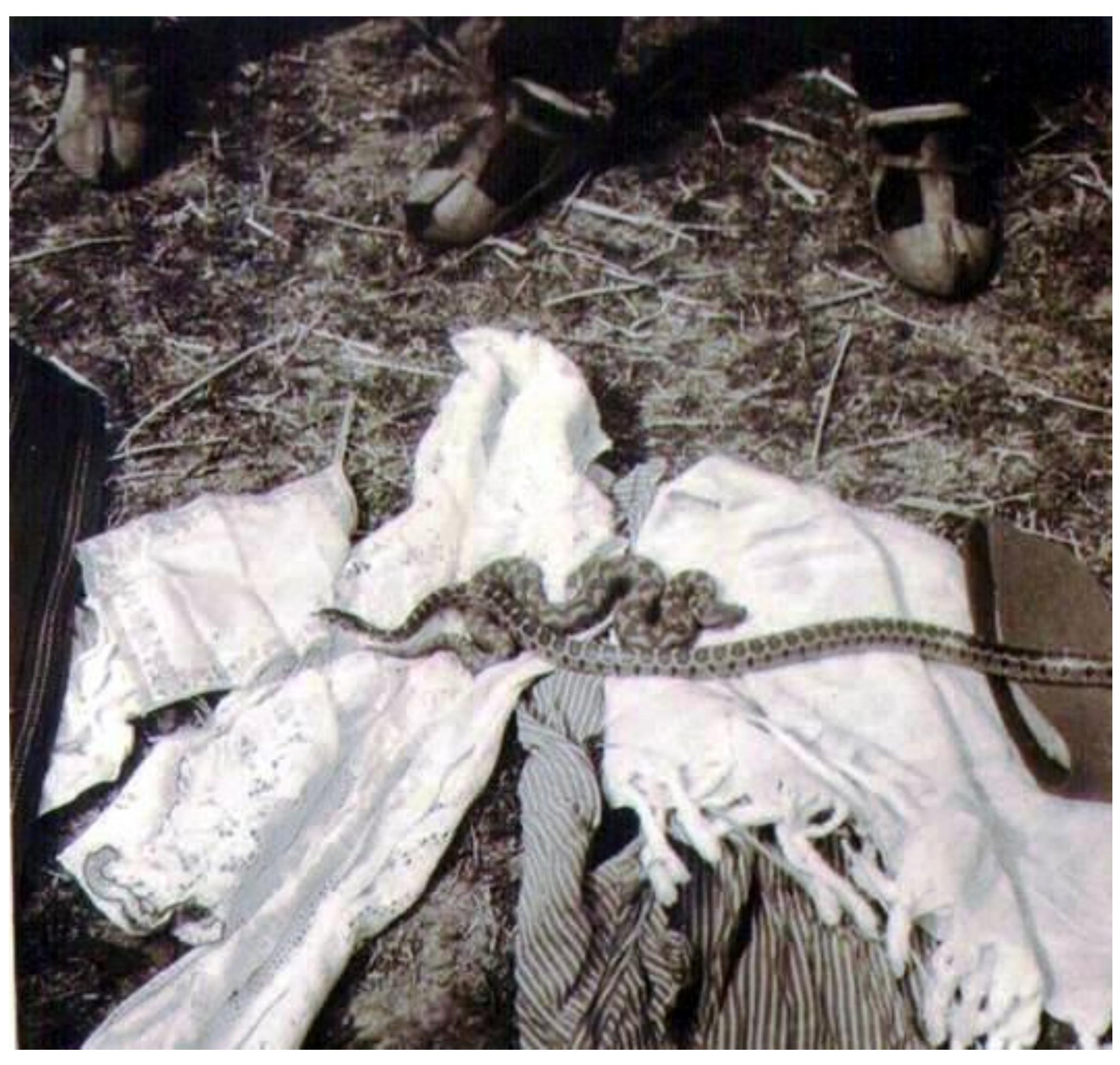 Figure 6 - Proto-Indo-European Aryan Homeland of the Great