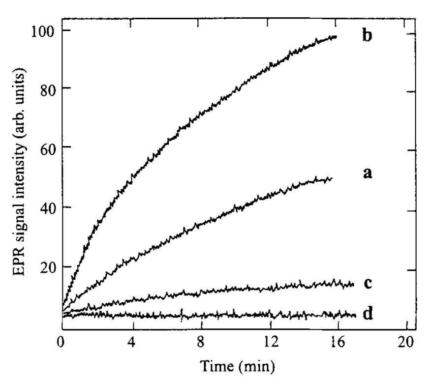 (PDF) Stable nitroxyl radicals as pH, thiol and electron transfer probes