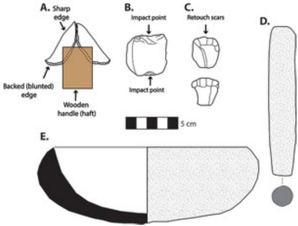 (PDF) Stone Tools: Their Relevance for Historians and the Study of ...