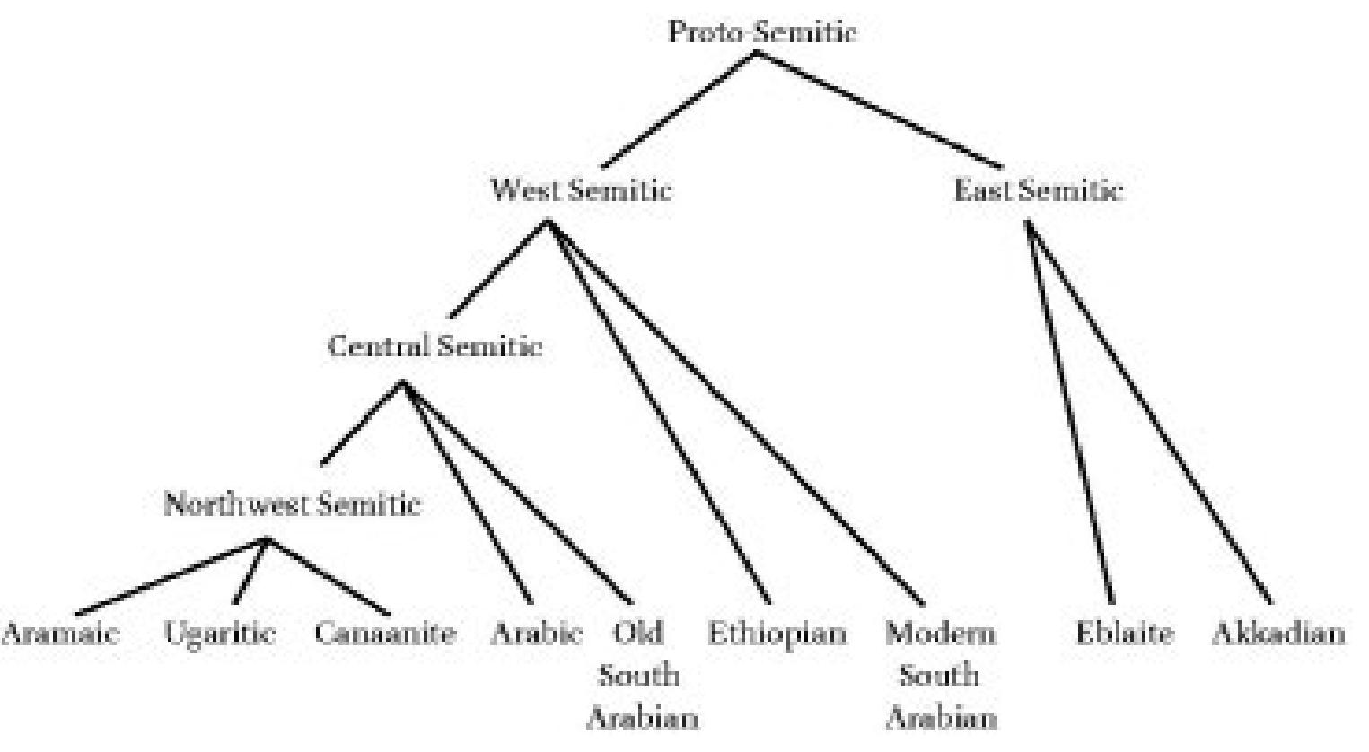 The classification of the semitic family is summarised in