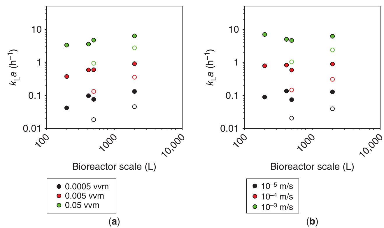 (PDF) BIOREACTOR SCALE-UP