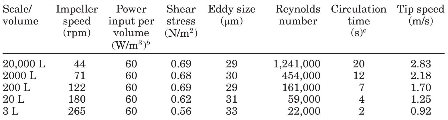 (PDF) BIOREACTOR SCALE-UP