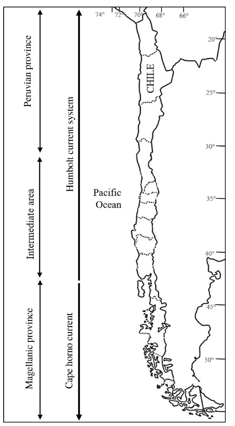 Map of the southeastern pacific coast of chile showing