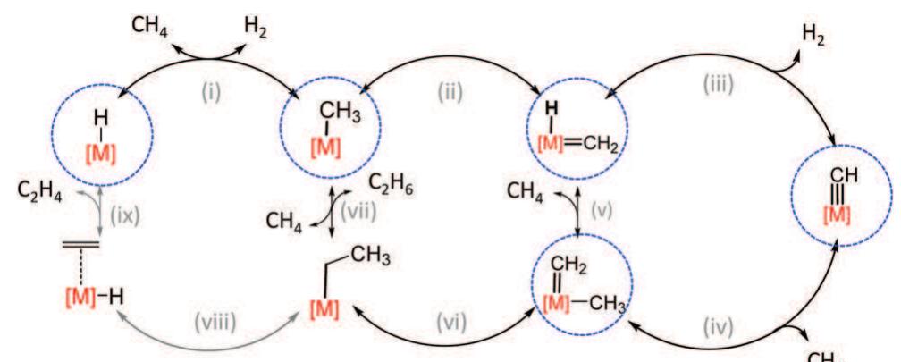 A detailed mechanism of coupling of methane to ethane,