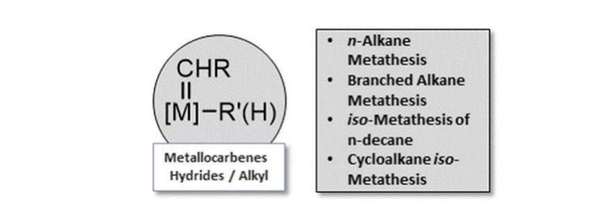Illustration of somfs for alkane metathesis.