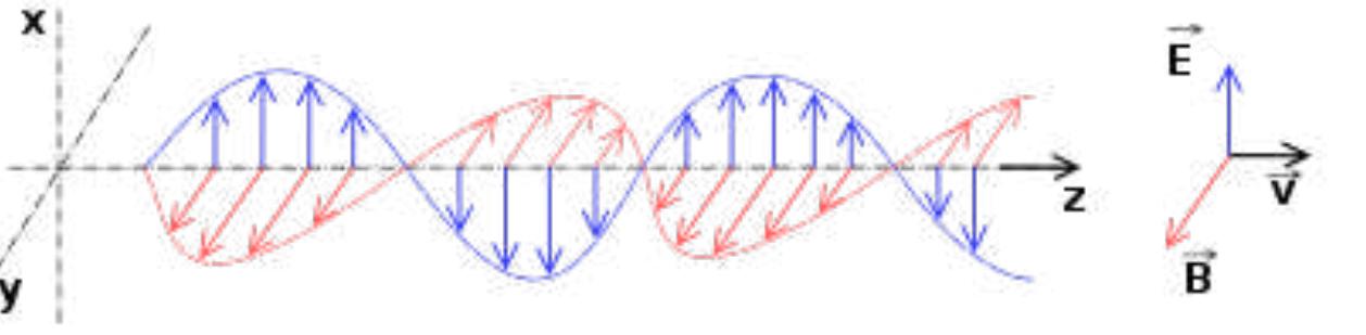 (1)a linearly polarized sinusoidal electromagnetic wave,
