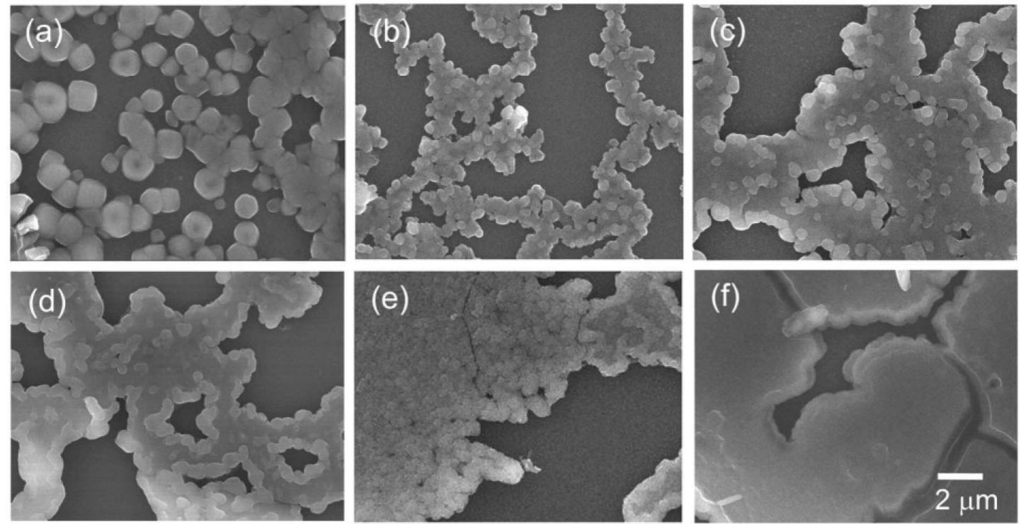 Plan view fe-sem images of the depositions after reaction