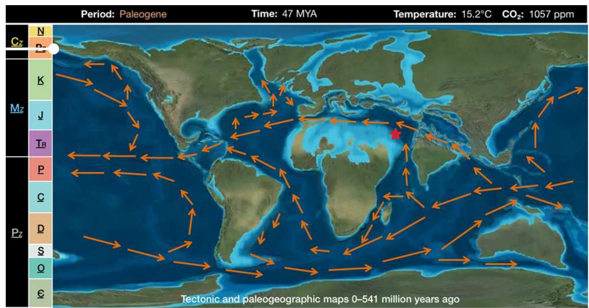 -09: the inferred surface paleocurrent circulation patterns