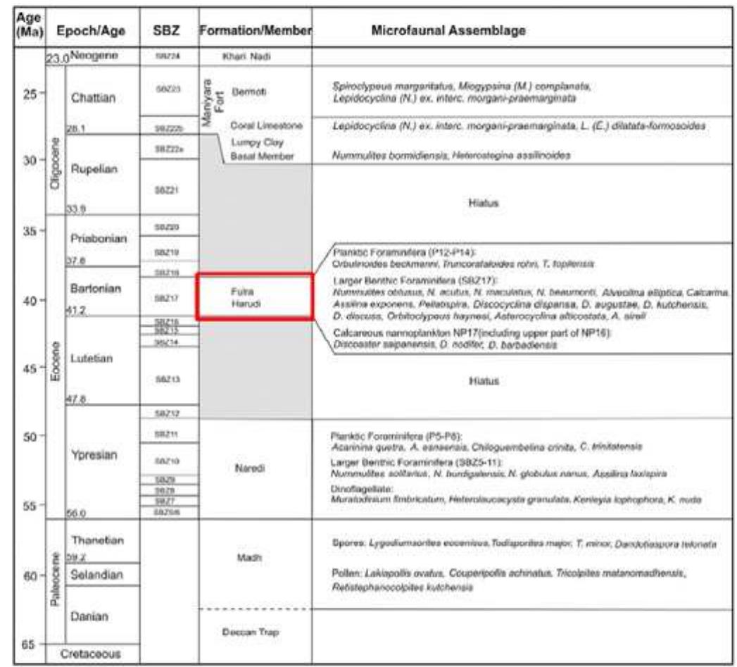 -k02: stratigraphy of the kutch fig area (india) as per