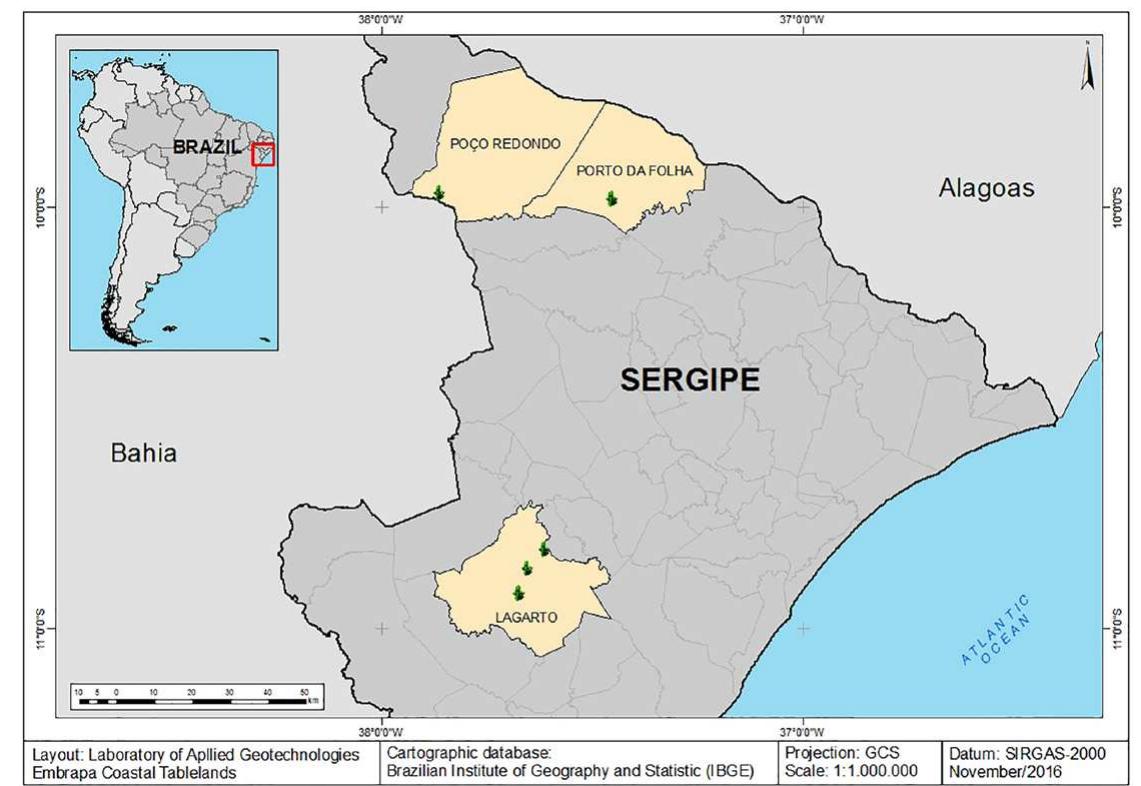 Map with the locations of the croton tetradenius plants