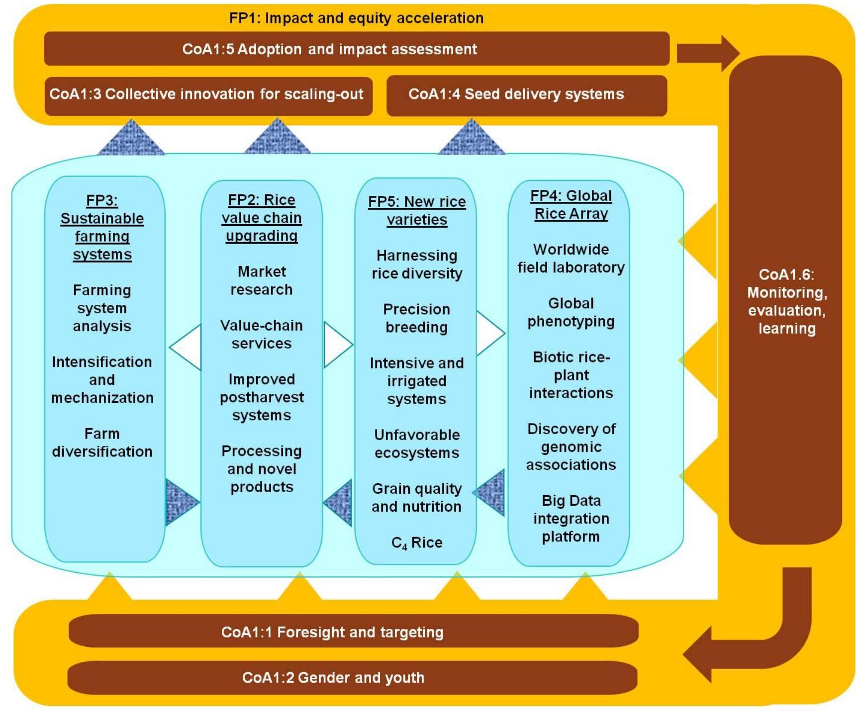 Rice flagship projects and clusters of activity.
