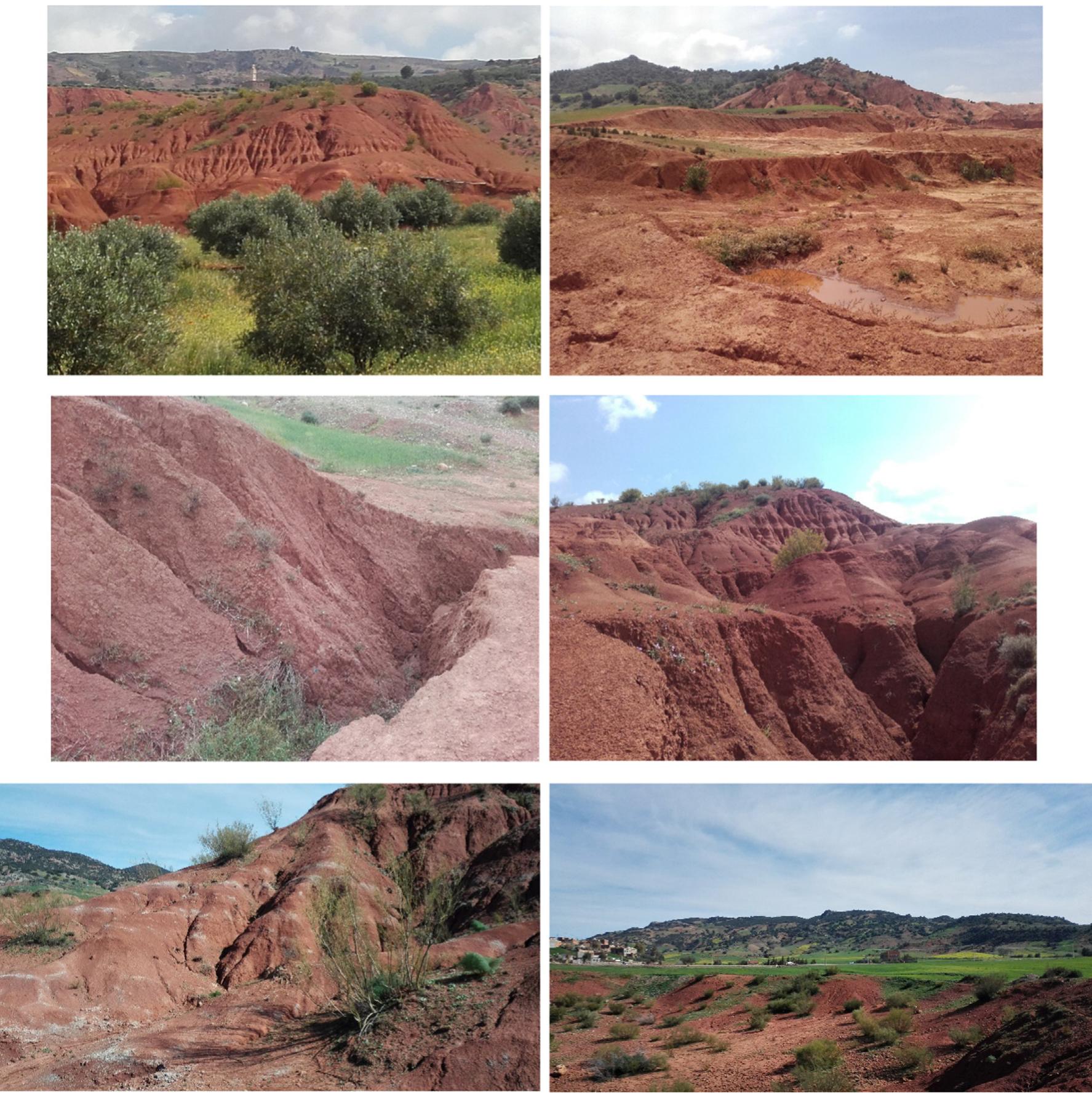 Examples of the effects of water erosion processes in the