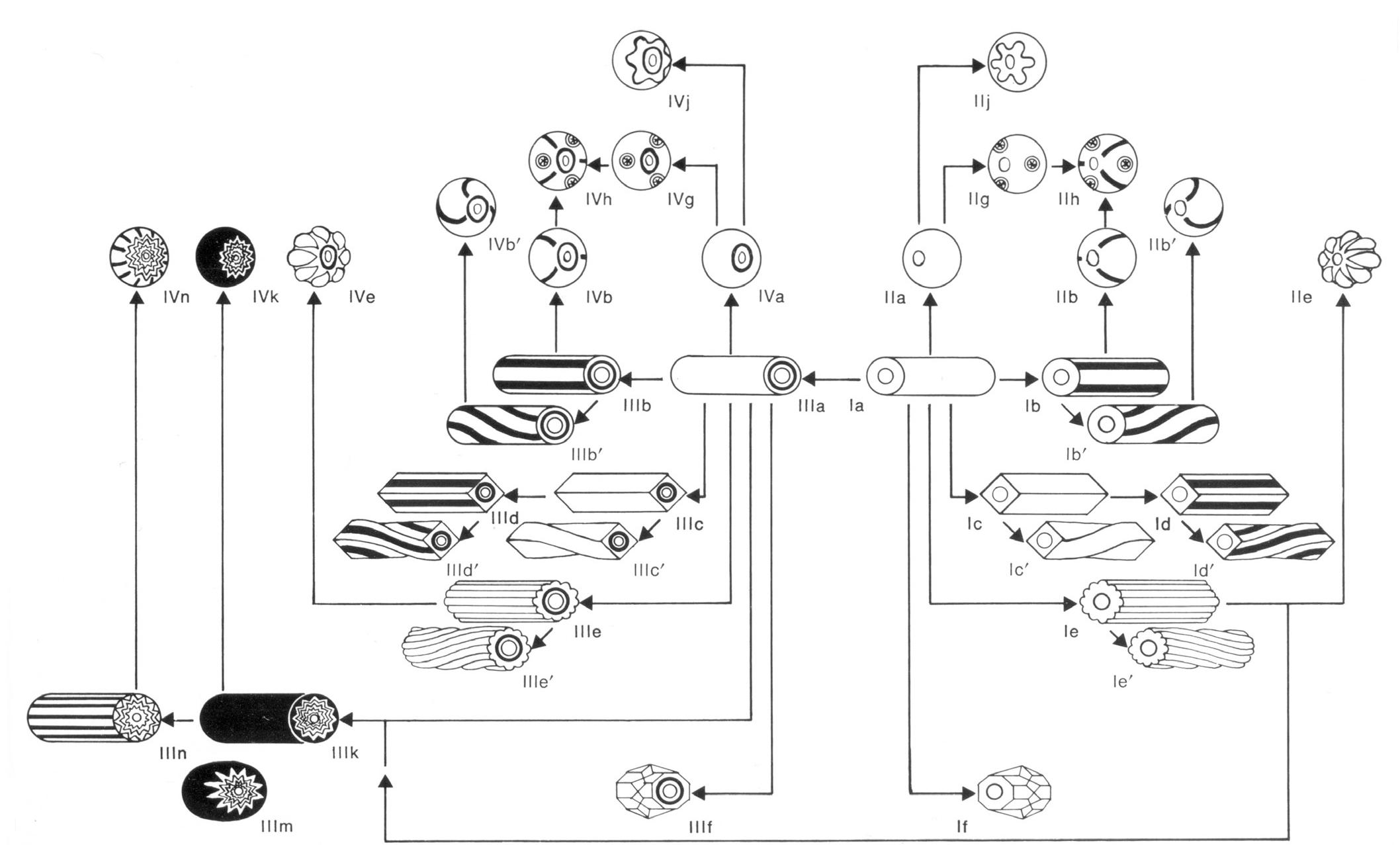 Master identification chart for tube beads.