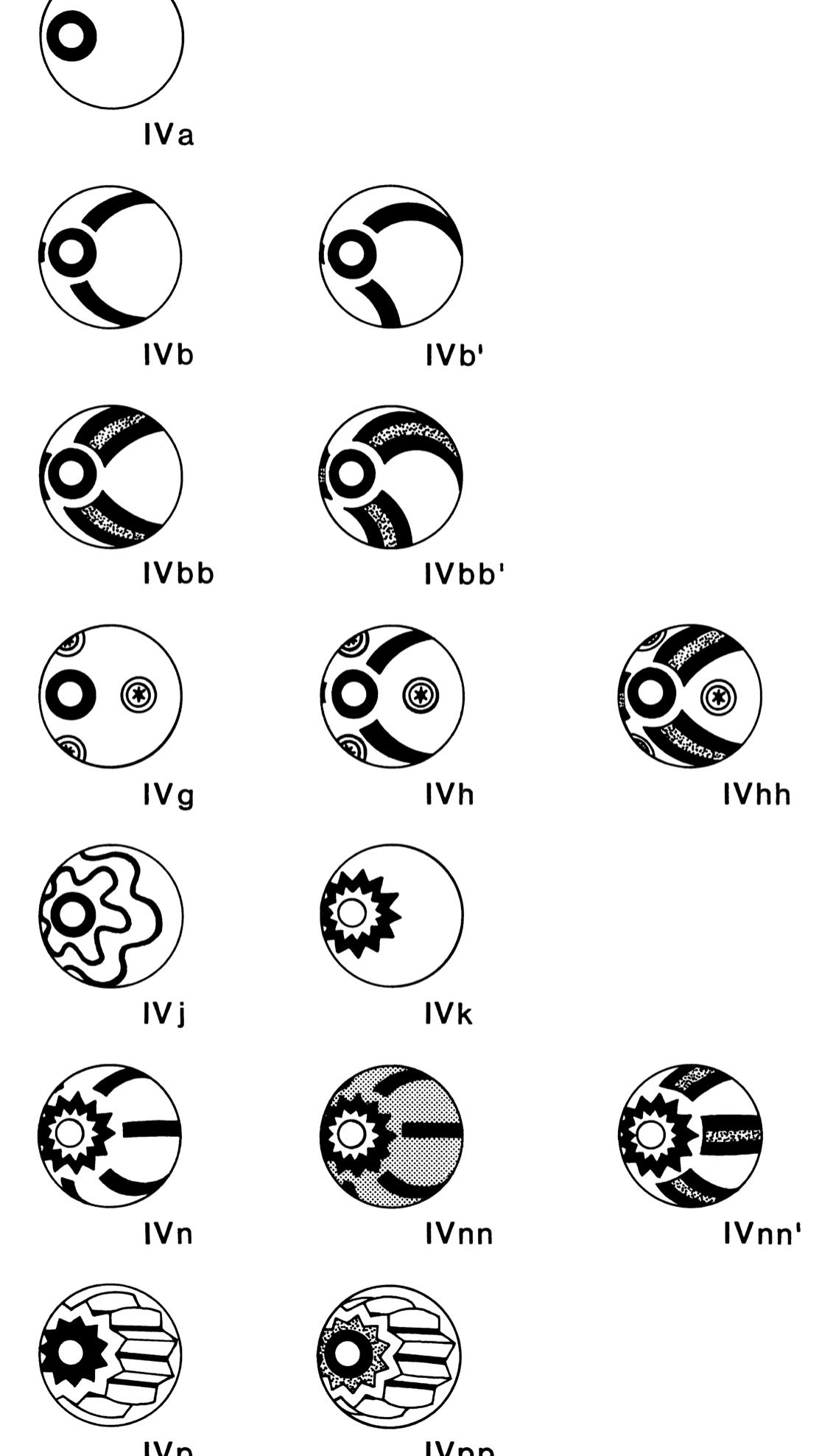 Recorded types of class iv drawn beads.