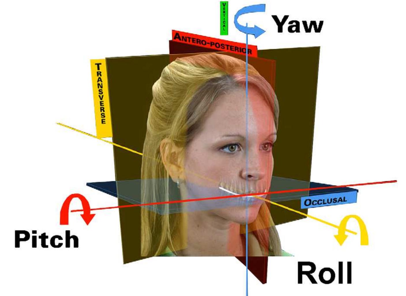 The three rotational variables (pitch, roll, and yaw) must