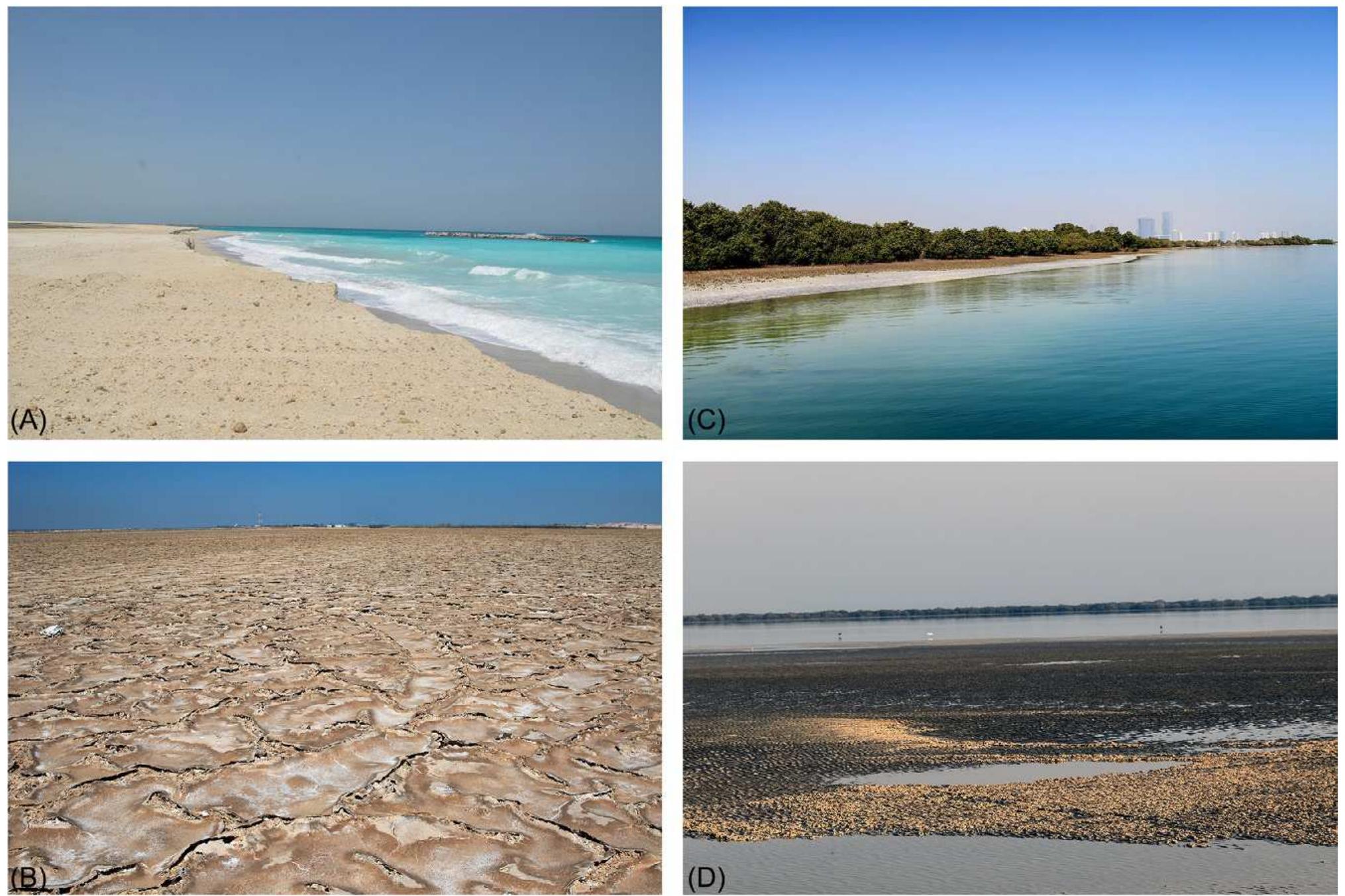 (PDF) The Arabian Gulf