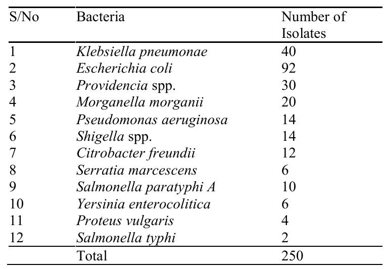 Clinical gram negative bacterial isolates. double disc
