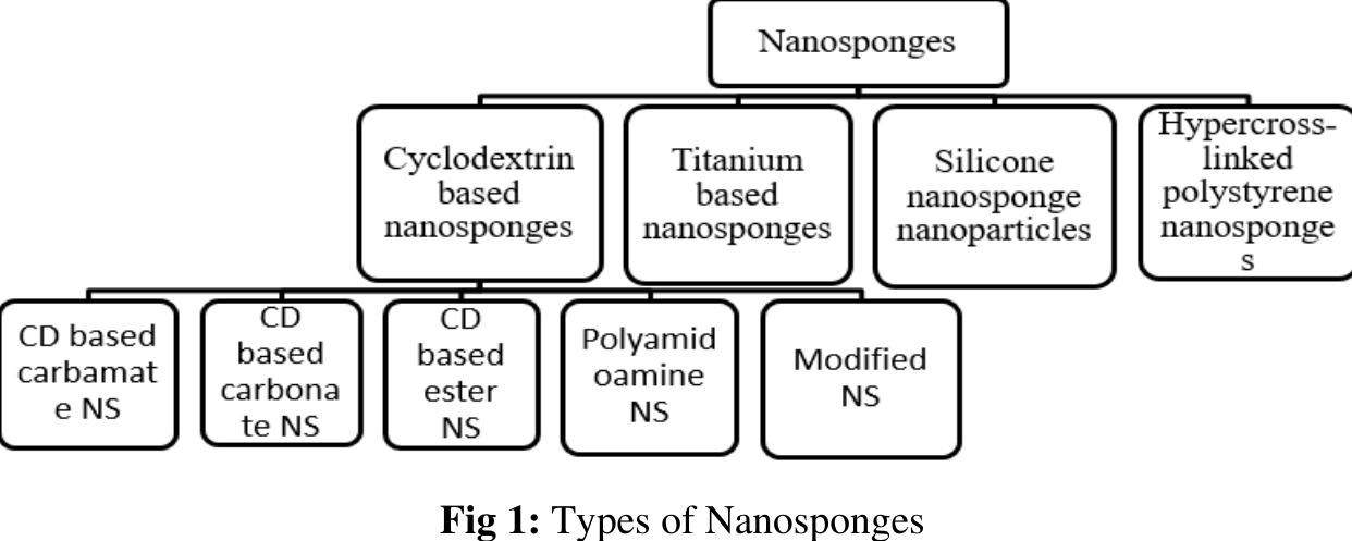 Biopharmaceutical classification system class ii drugs