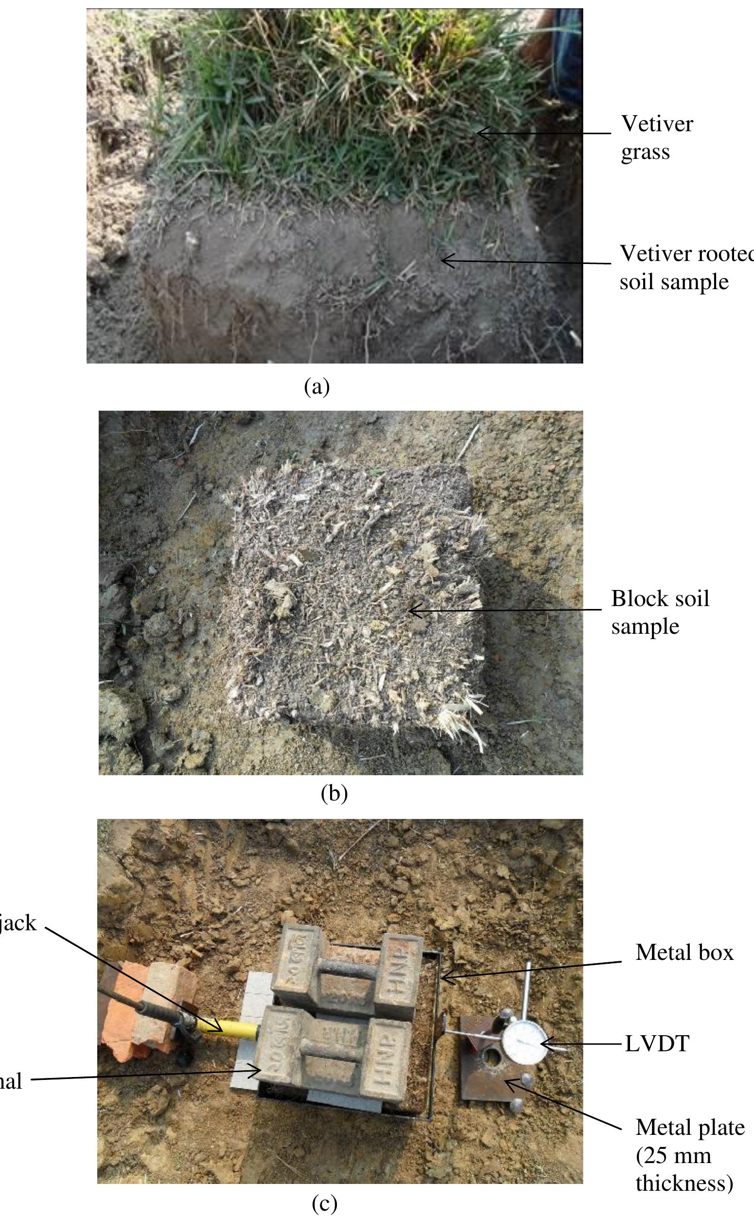 2: preparation of block soil sample: (a) trench of the size