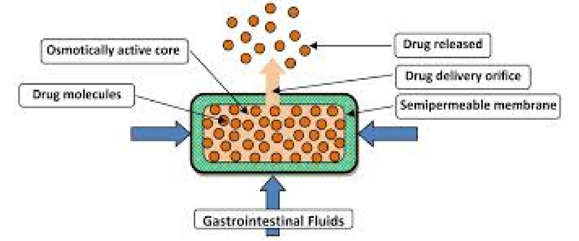 3. mechanism of drug release from matrix different