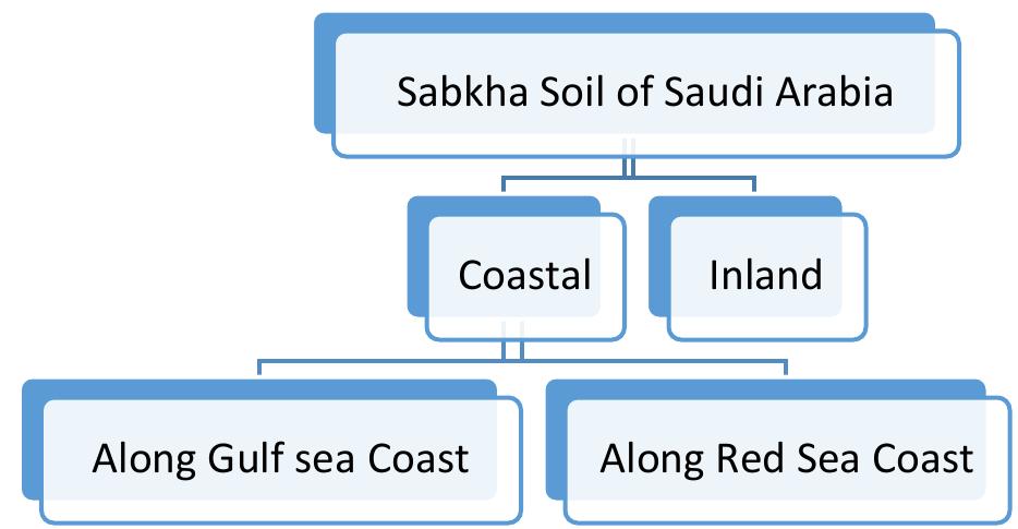 (PDF) IMPROVEMENT AND CHARACTERIZATION OF SABKHA SOIL - A REVIEW.pdf