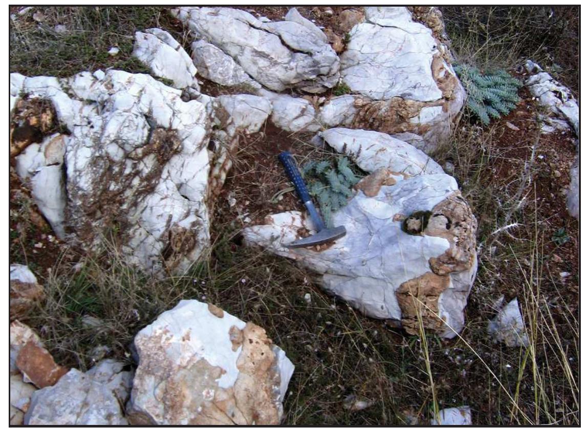 Chert nodules in jurassic limestones (old polena, albania).
