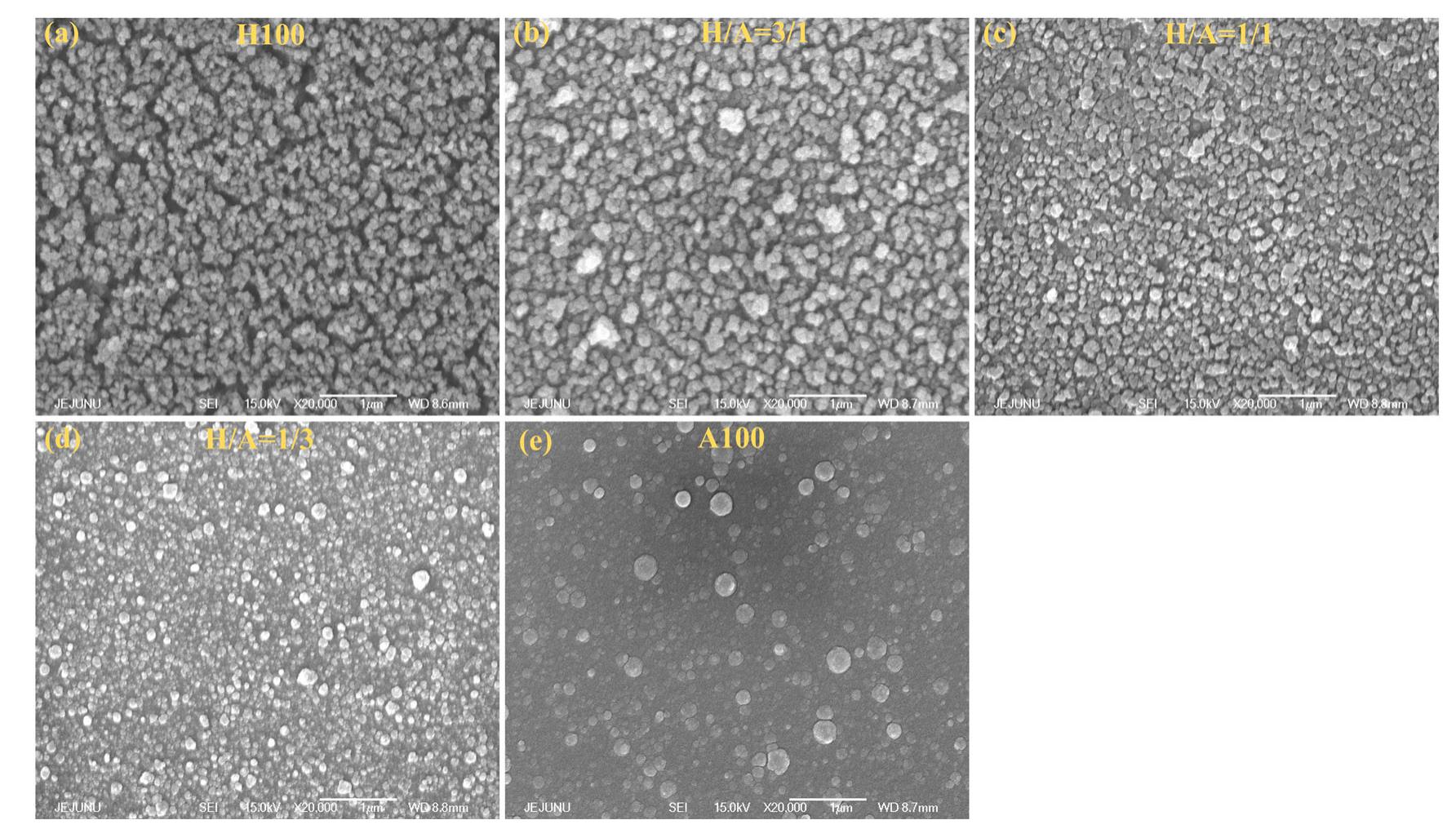 Sem images of the coated samples. (a) h100; (b) h/a = 3/1;