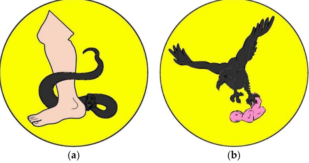 Round shields and gruesome devices of dorne: (a) house wyl