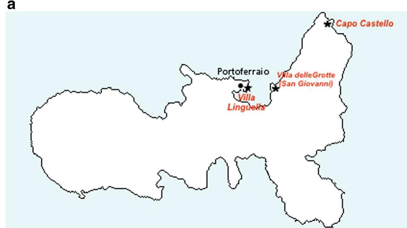 A sketch map of the island of elba, showing the location of