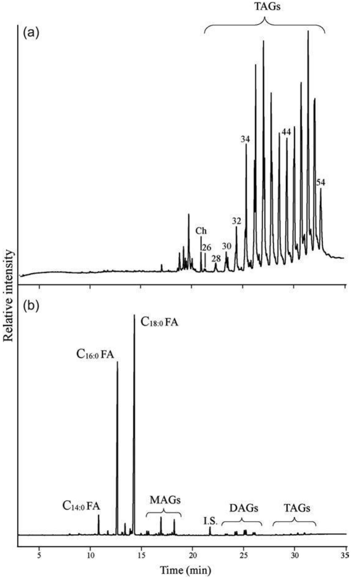 Fic. 1—chromatograms showing the lipid components