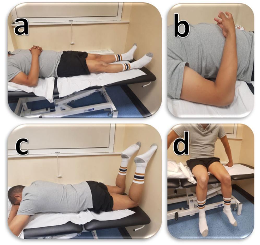Muscle swe measurement positions. a (quadriceps rested):
