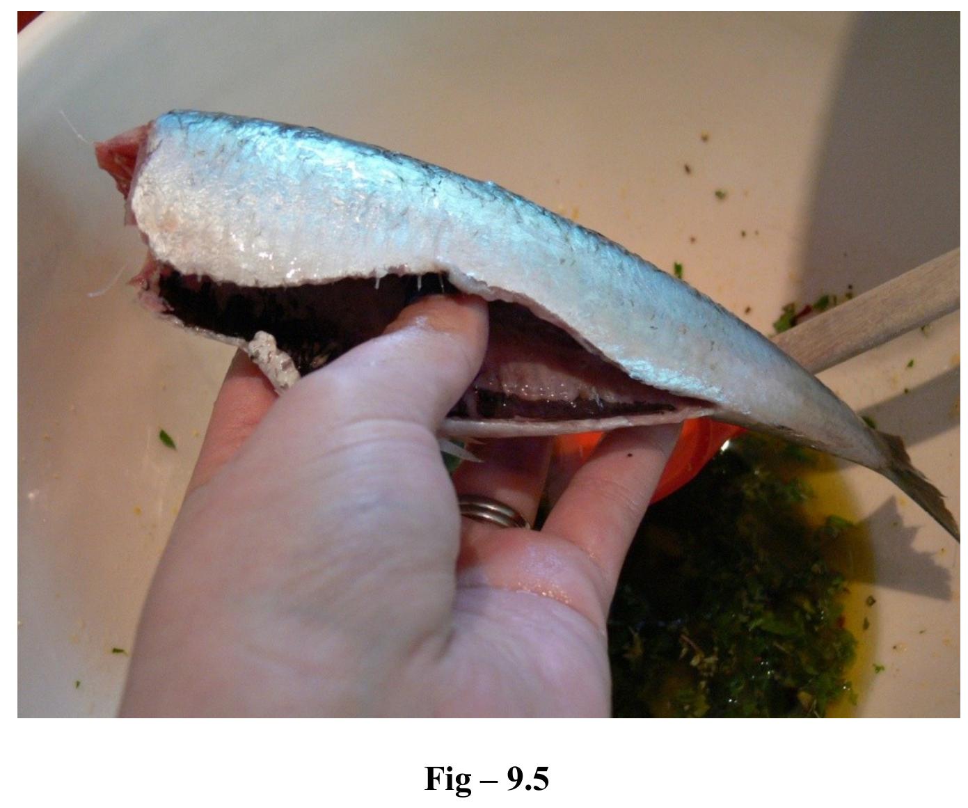 (PDF) Fish processing and preservation